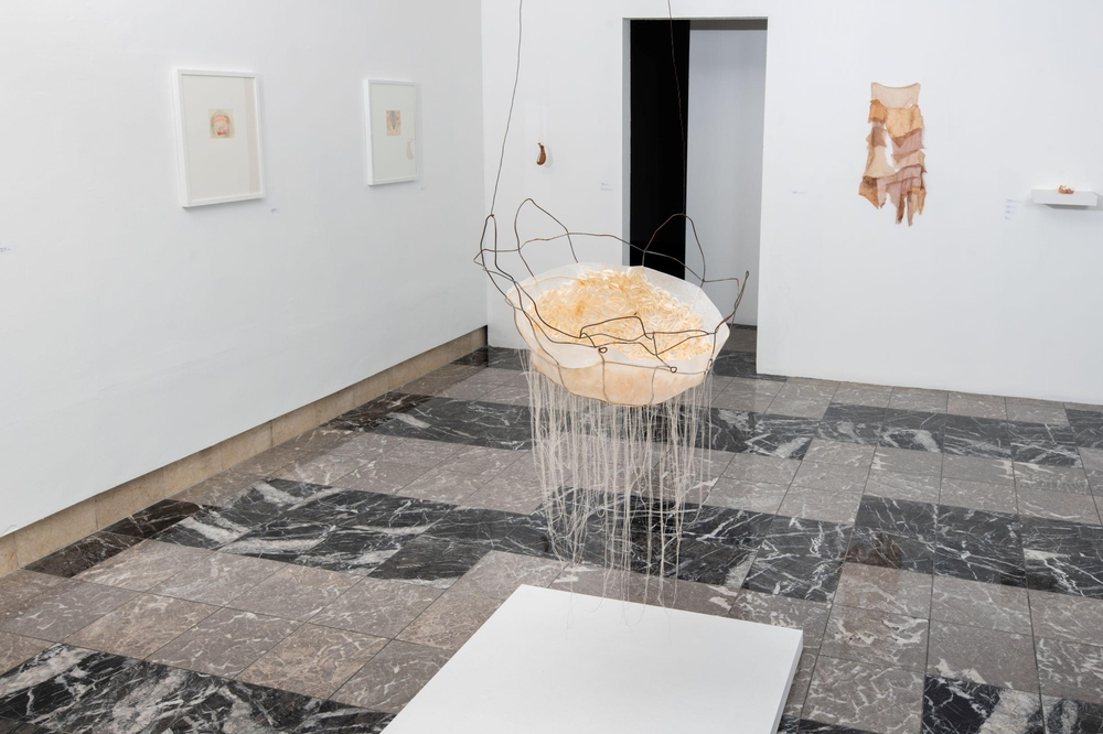 Science Center | When Our Walls Come Alive