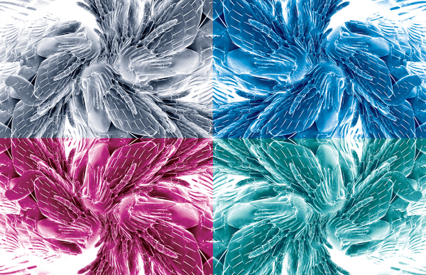 Science Center | THRIVE: A Biodesign Challenge Retrospective