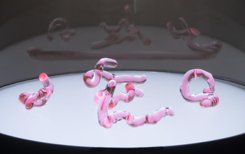 Science Center | FirstHand