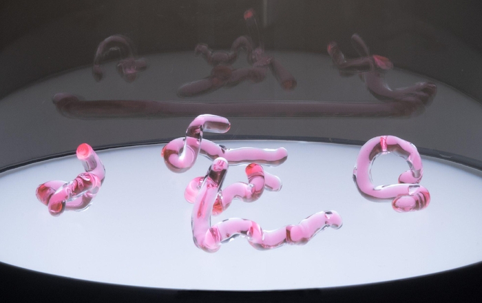 Science Center | FirstHand