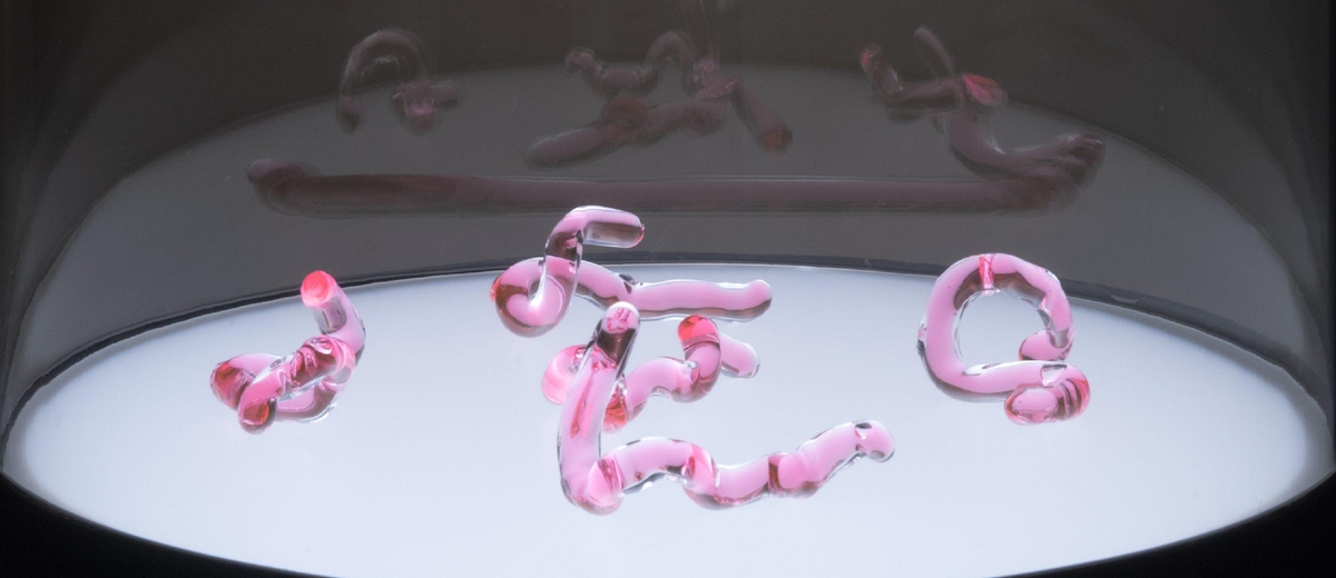 Science Center | Esther Klein Gallery Takes a Bow