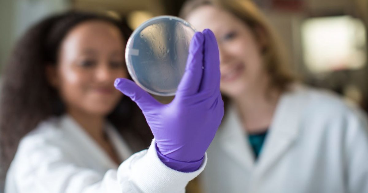 Science Center | Invisible Sentinel